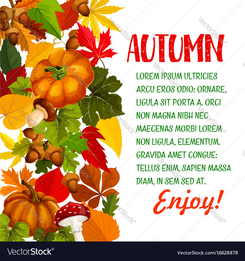 Autumn season poster with pumpkin and fall leaf Vector Image