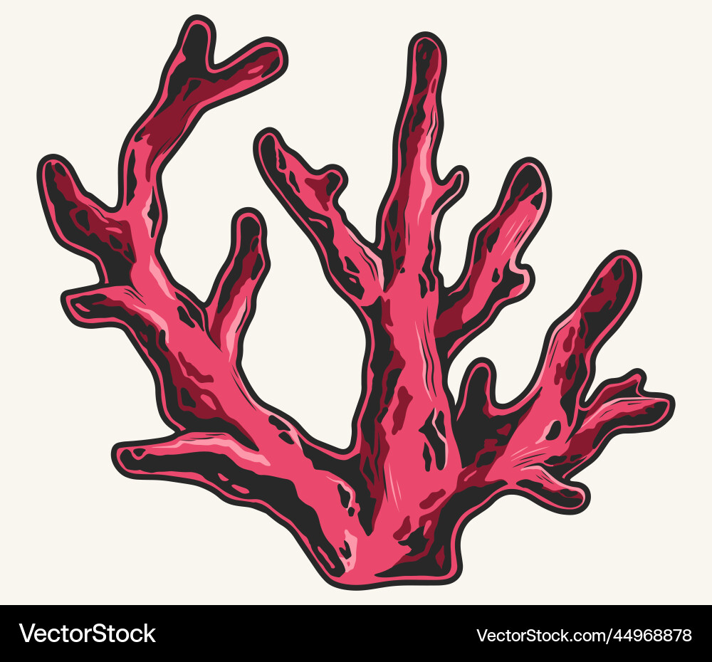 Coral polyps colorful detailed label Royalty Free Vector