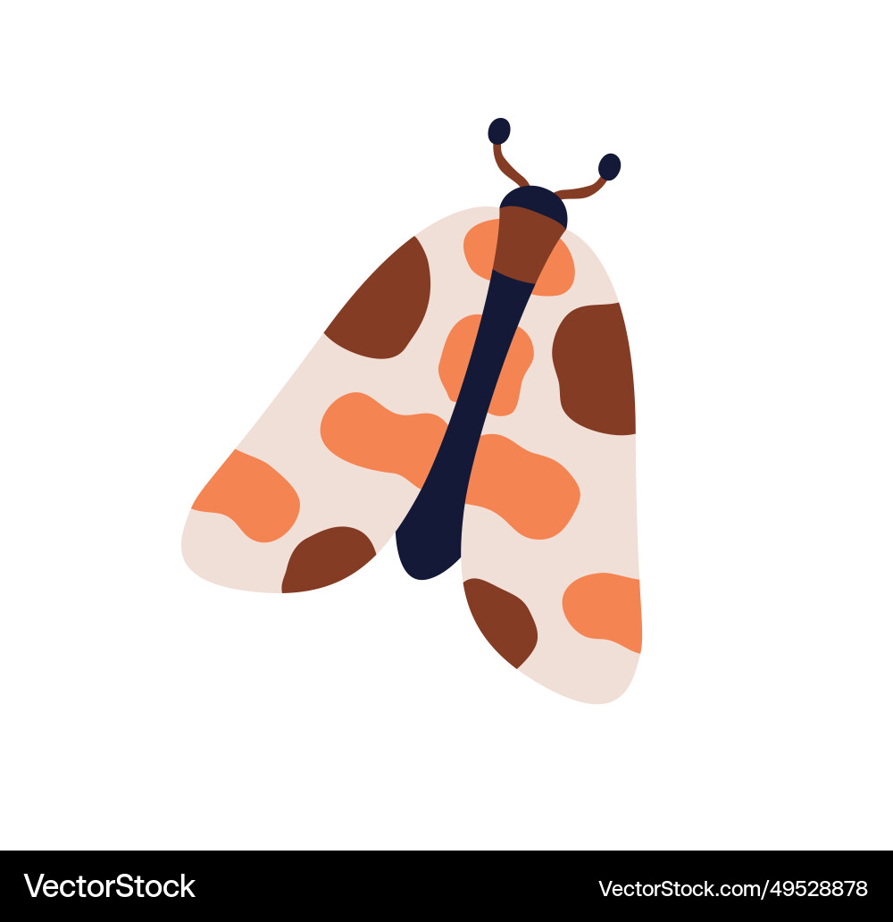Exotic moth tropical butterfly winged insect Vector Image