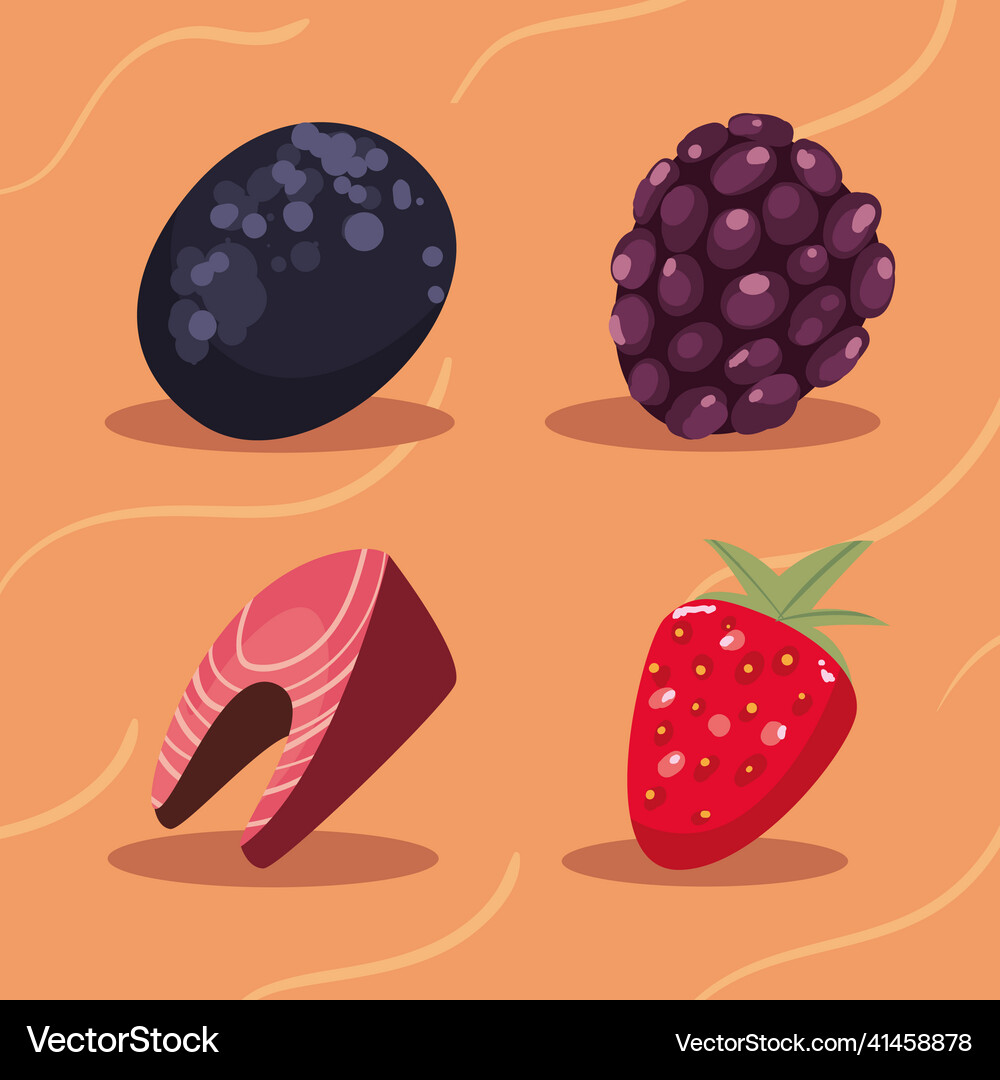 Four healthy foods Royalty Free Vector Image - VectorStock