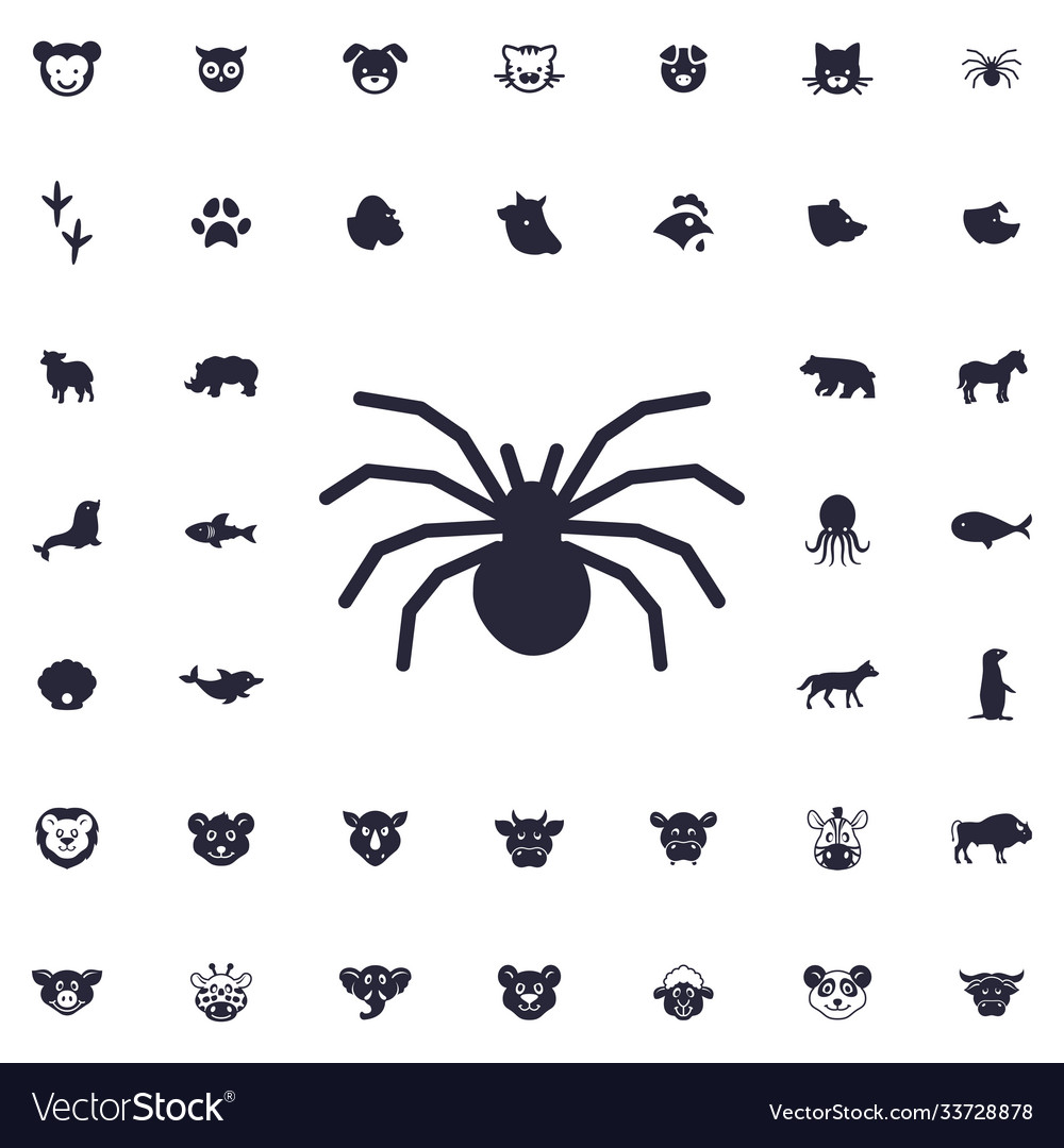 Spider icon Royalty Free Vector Image - VectorStock