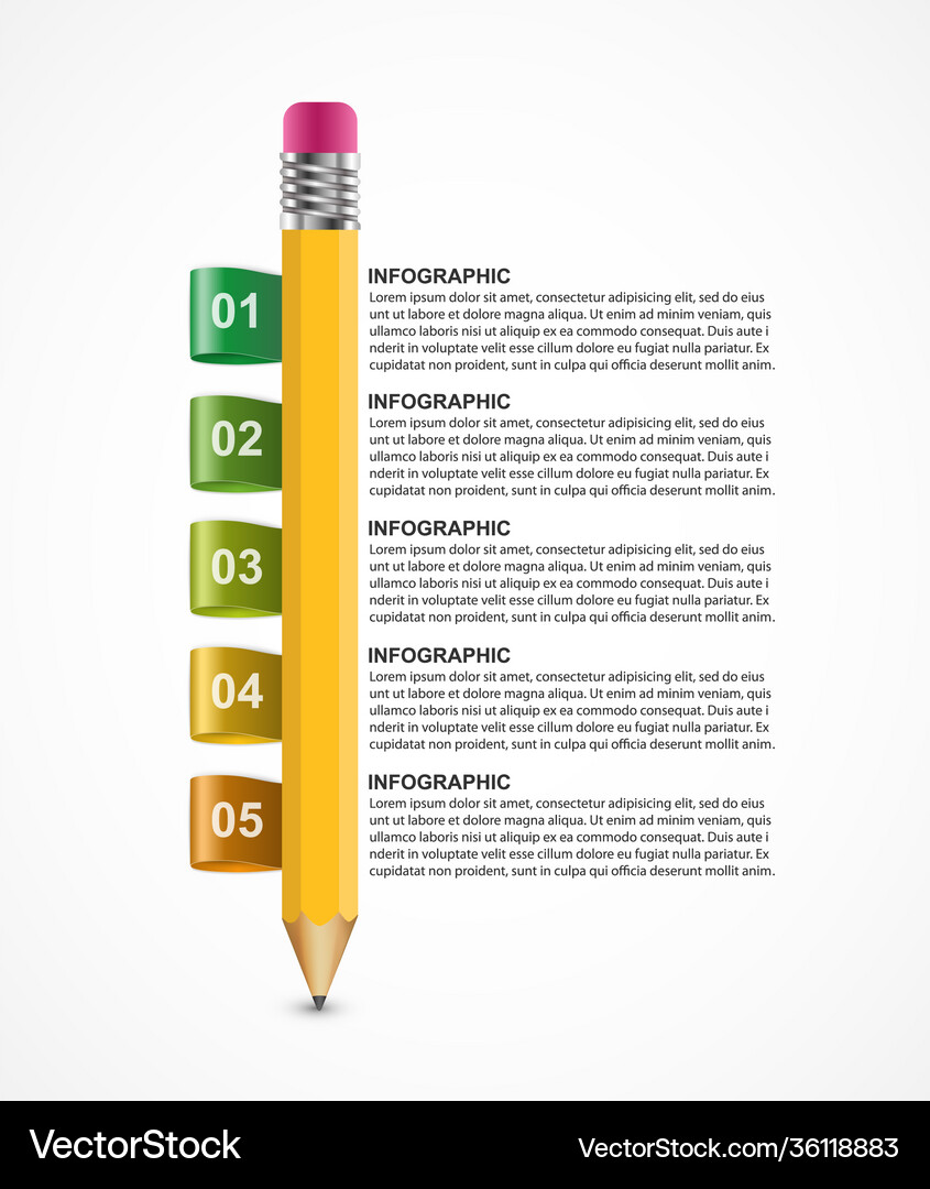 Infographics template with pencil can be used Vector Image