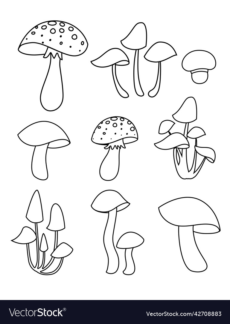 Set of mushrooms outline design icons flat Vector Image
