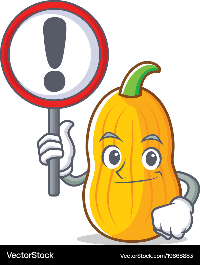 With sign butternut squash character cartoon Vector Image