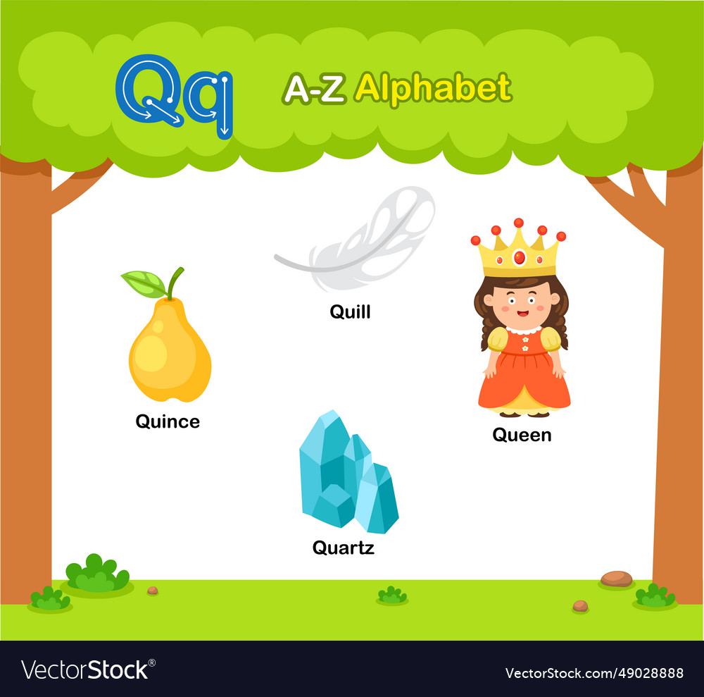 Alphabet letter q education vocabulary Royalty Free Vector