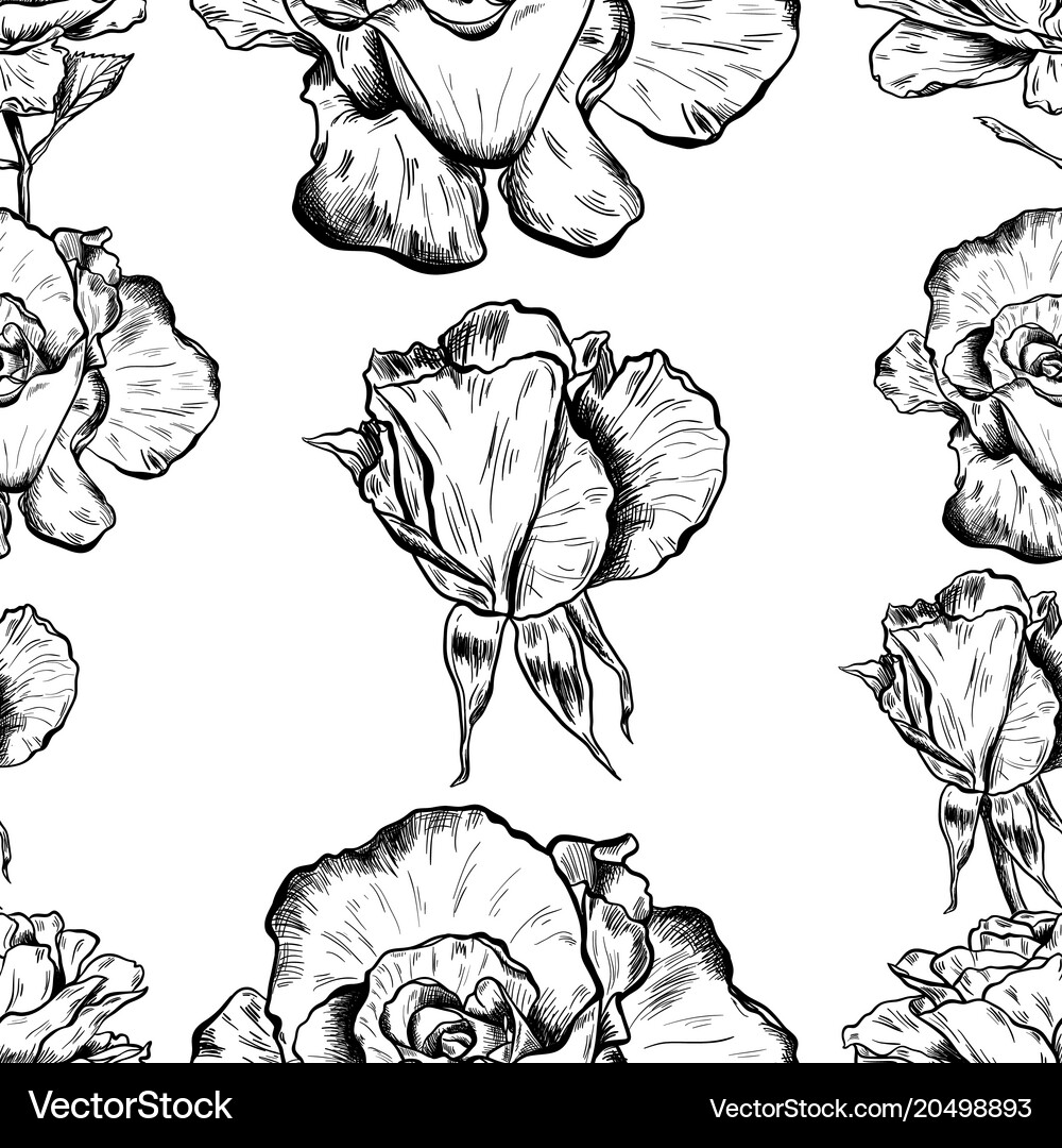 Seamless pattern of highly detailed hand drawn Vector Image