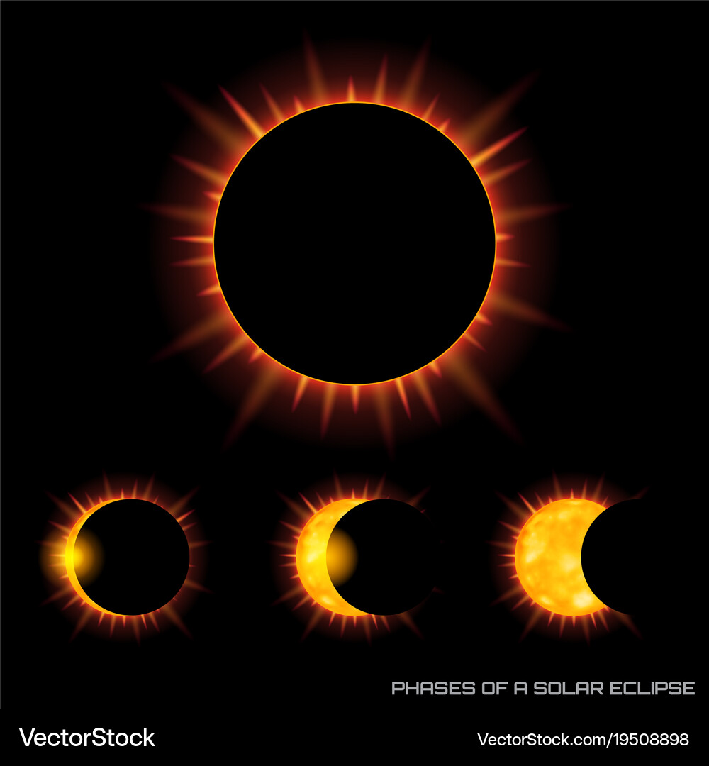 Phases total solar eclipse on dark Royalty Free Vector Image