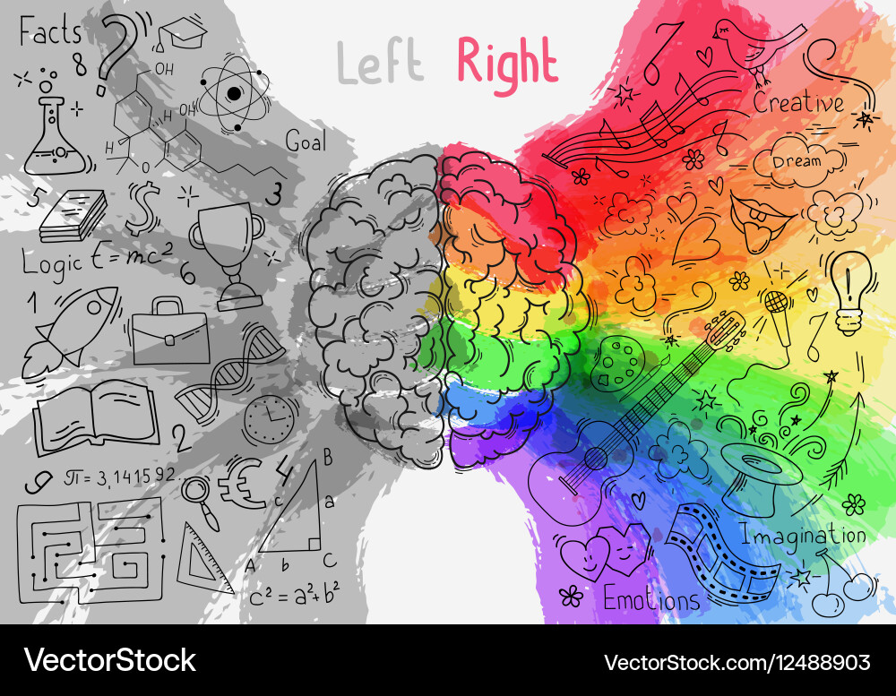 Concept of the human brain Royalty Free Vector Image