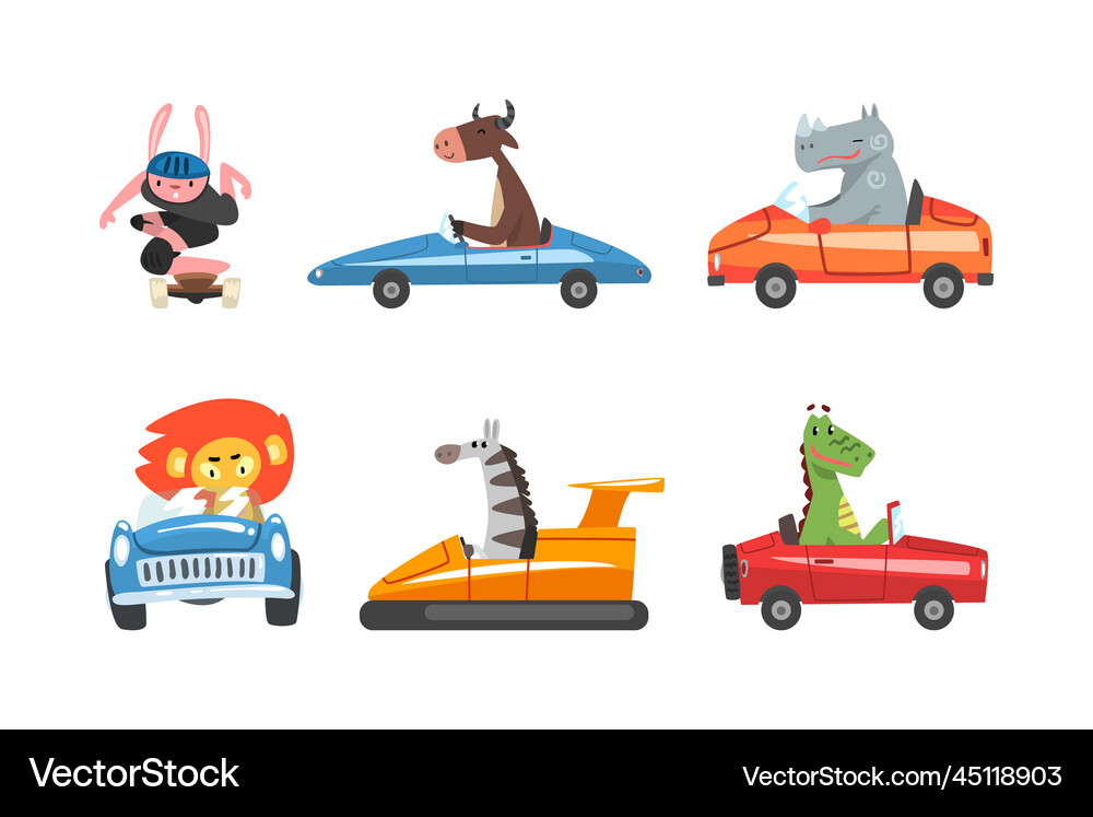 Funny animal riding and driving different Vector Image
