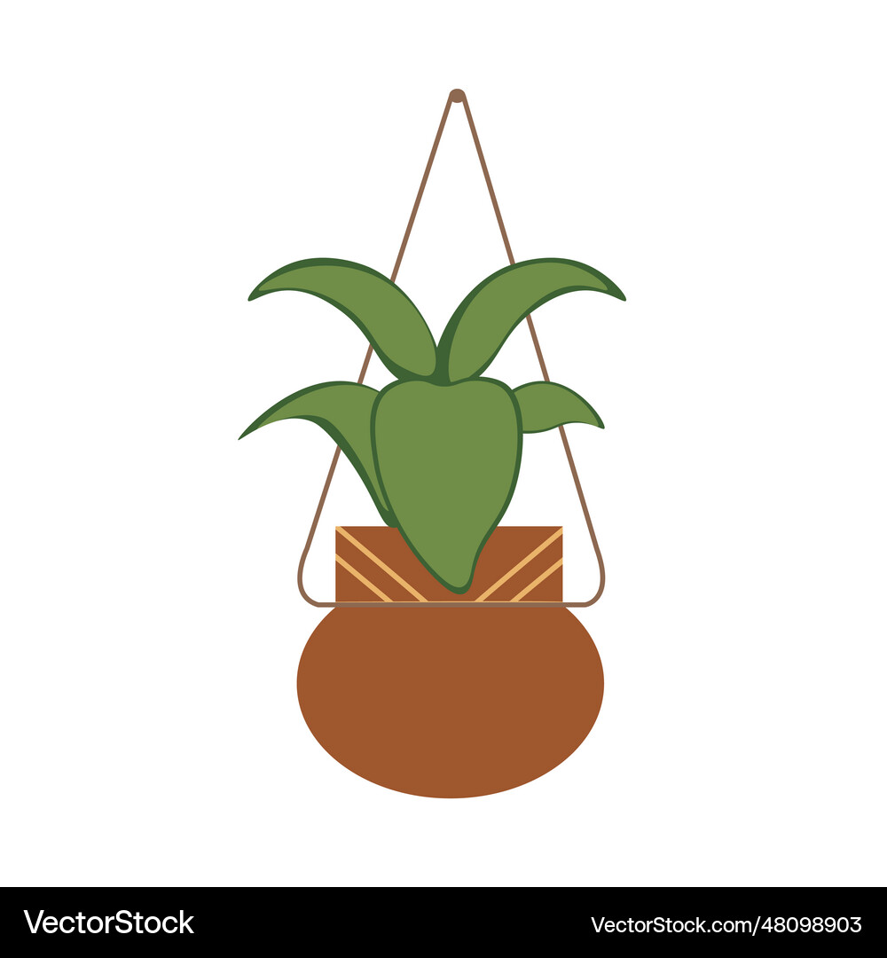 Hanging plant in cartoon flat design Royalty Free Vector