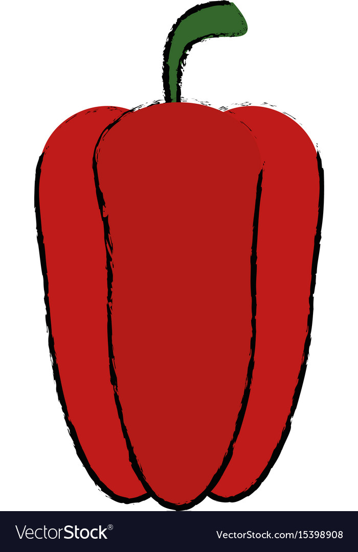 Pepper vegetable icon Royalty Free Vector Image