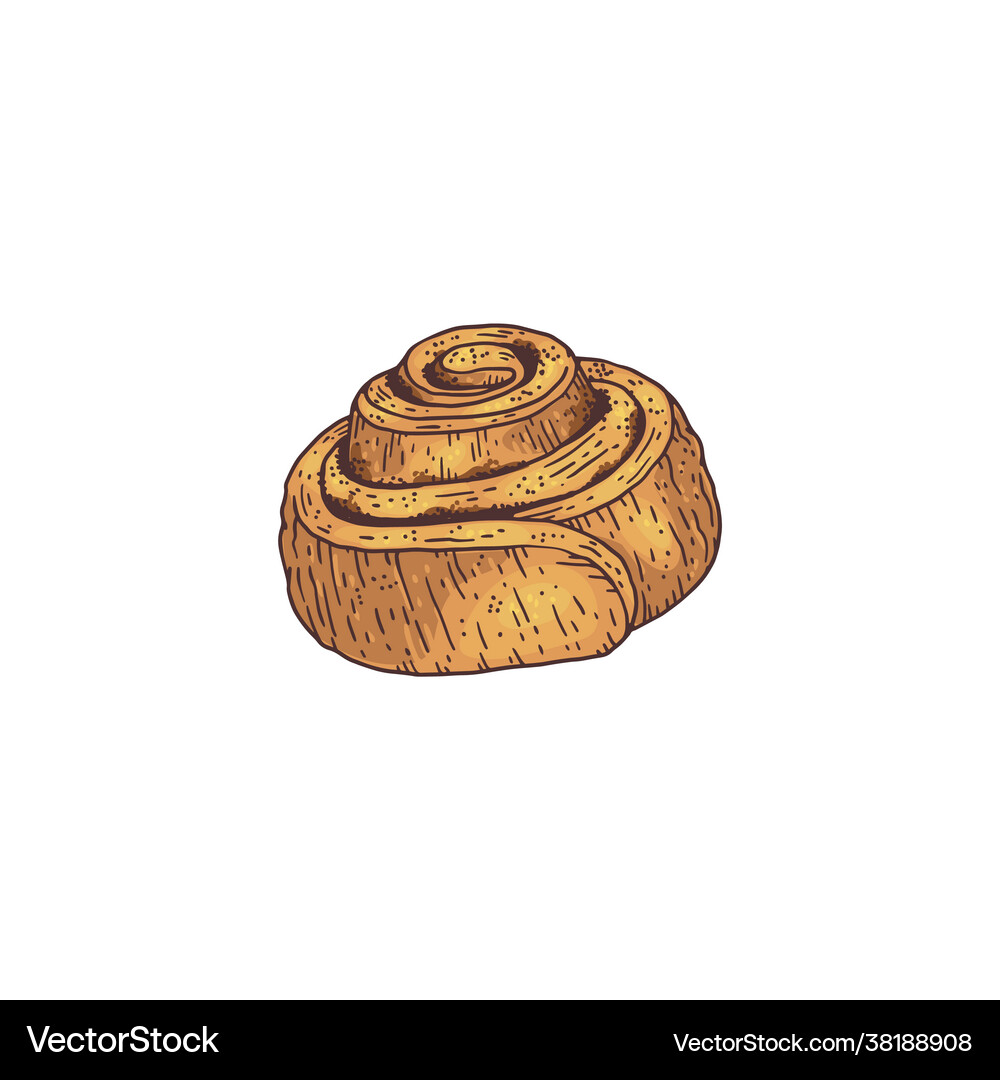 Soft sweet bun with cinnamon hand drawn engraving Vector Image