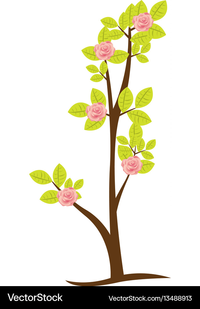 Colorful ramification with roses nature design Vector Image