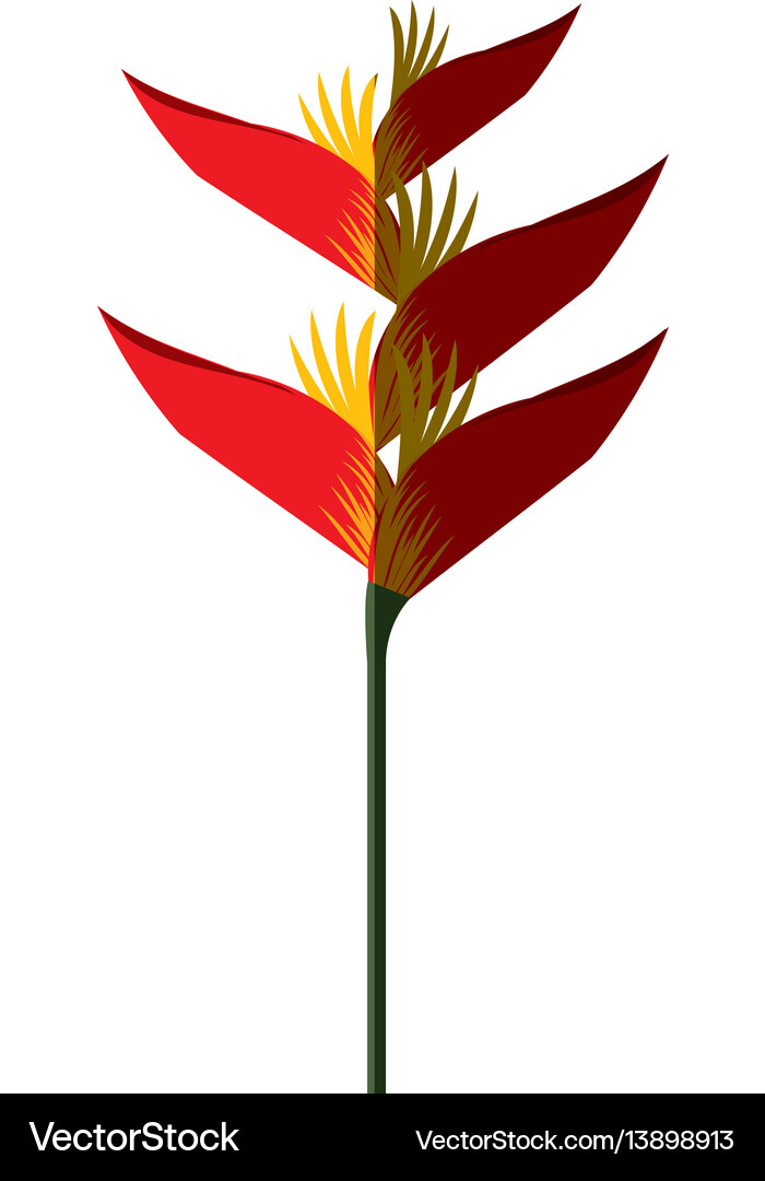 Exotic and tropical flower icon Royalty Free Vector Image