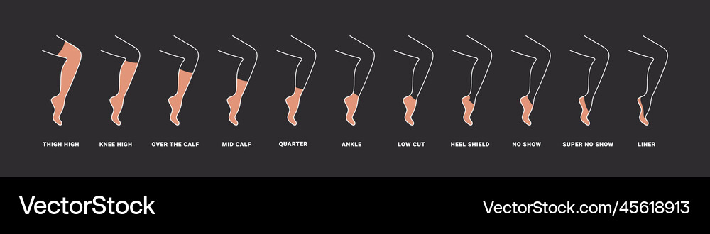 Types of socks set with various forms of socks Vector Image