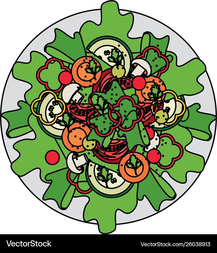Vegetables fresh salad in bowl Royalty Free Vector Image