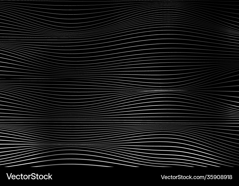 Abstract white wave lines pattern on black Vector Image