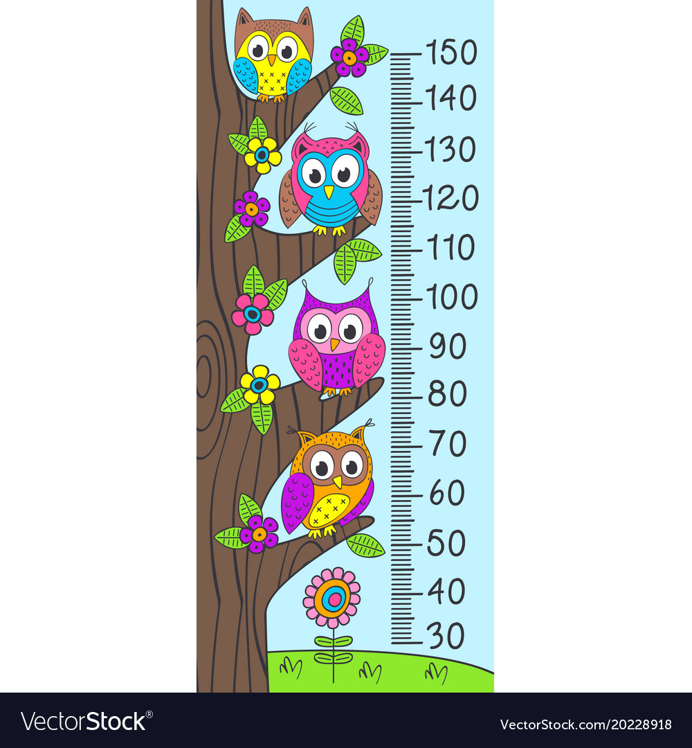 Growth measure with funny owls Royalty Free Vector Image
