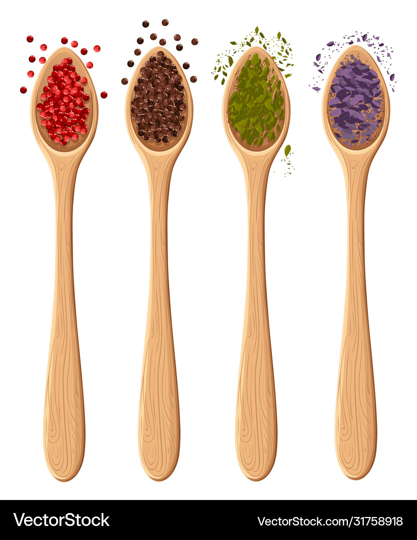 Spices in spoons isolated on white Royalty Free Vector Image