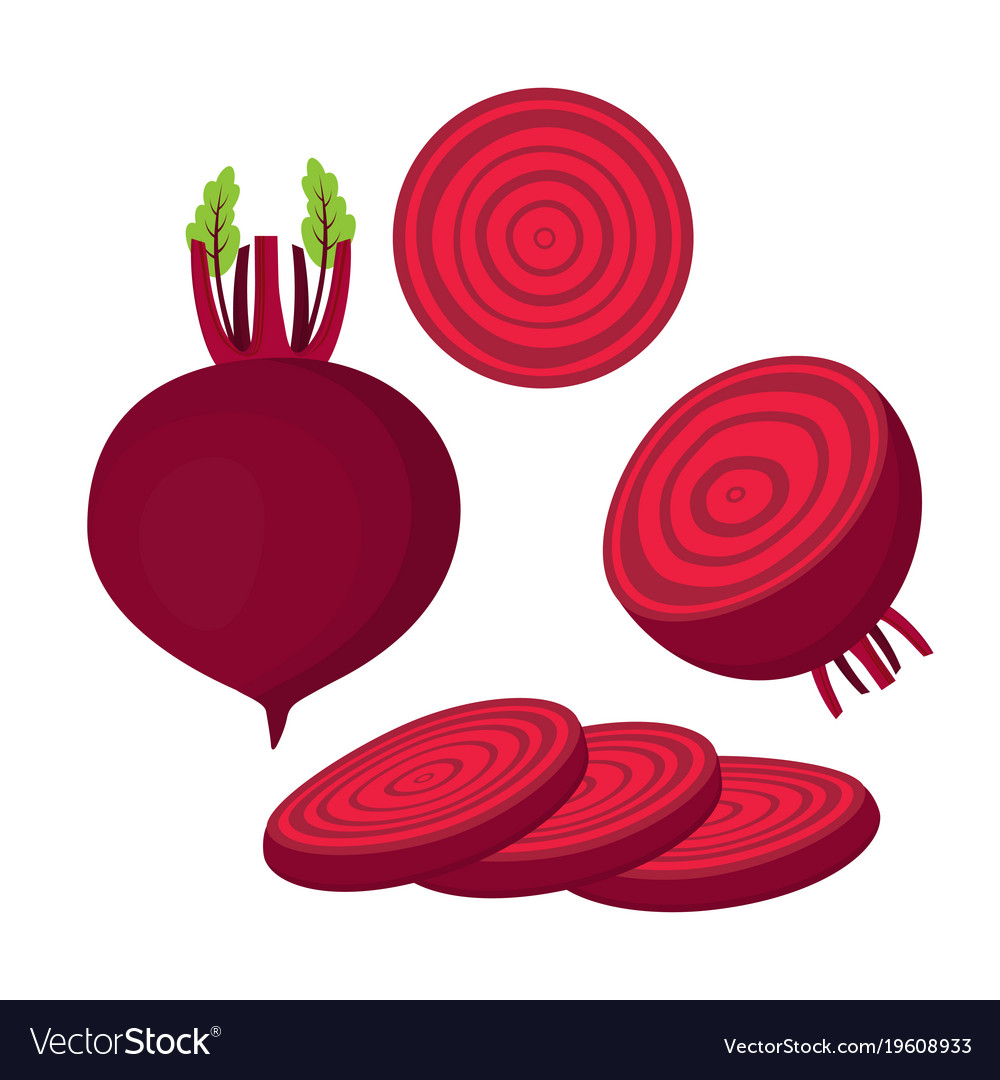 Set with beet Royalty Free Vector Image - VectorStock