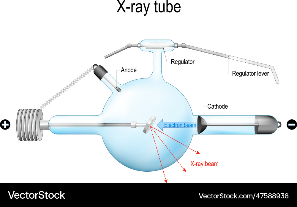 Crookes x-ray tube realistic Royalty Free Vector Image