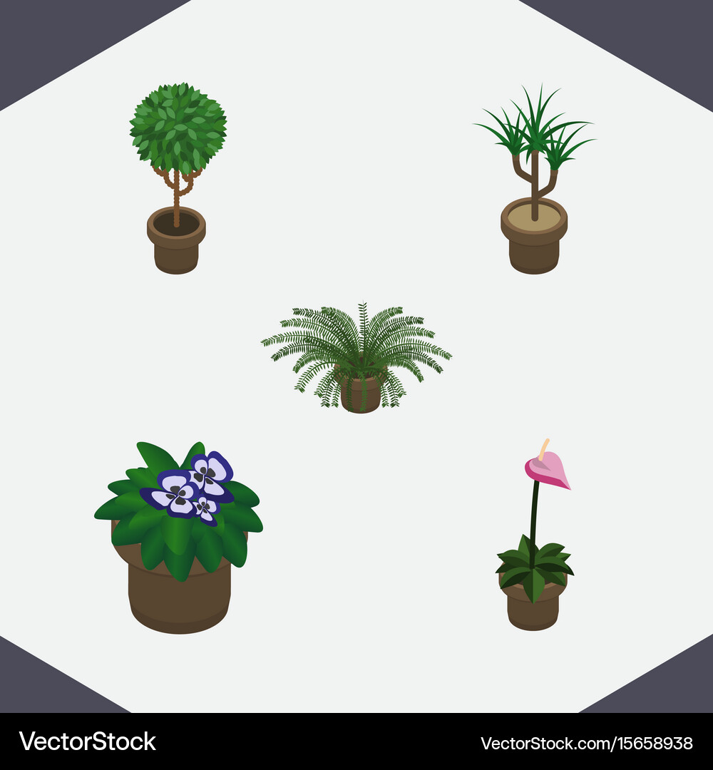 Isometric flower set flowerpot plant Royalty Free Vector