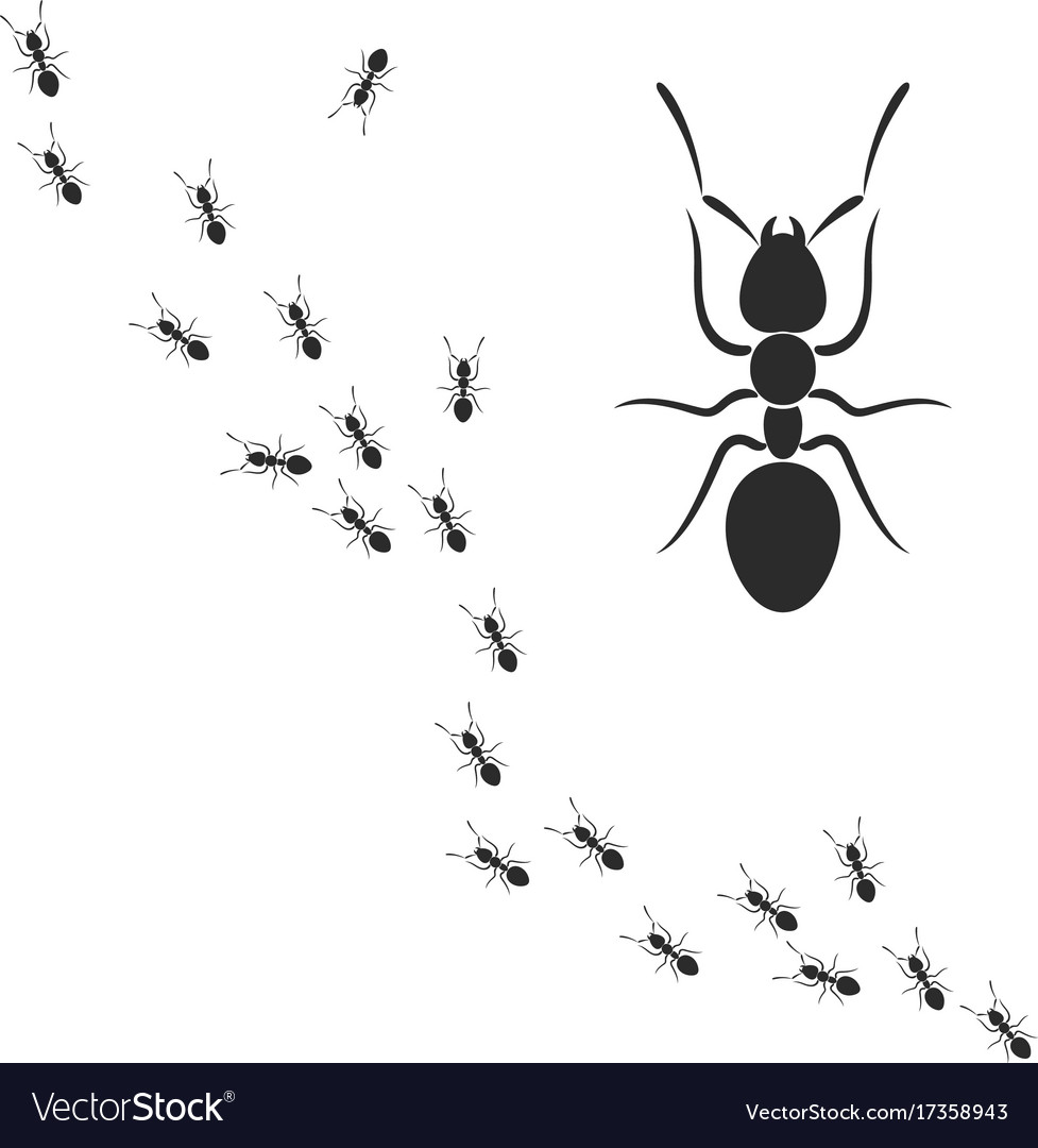 Ant Royalty Free Vector Image - VectorStock