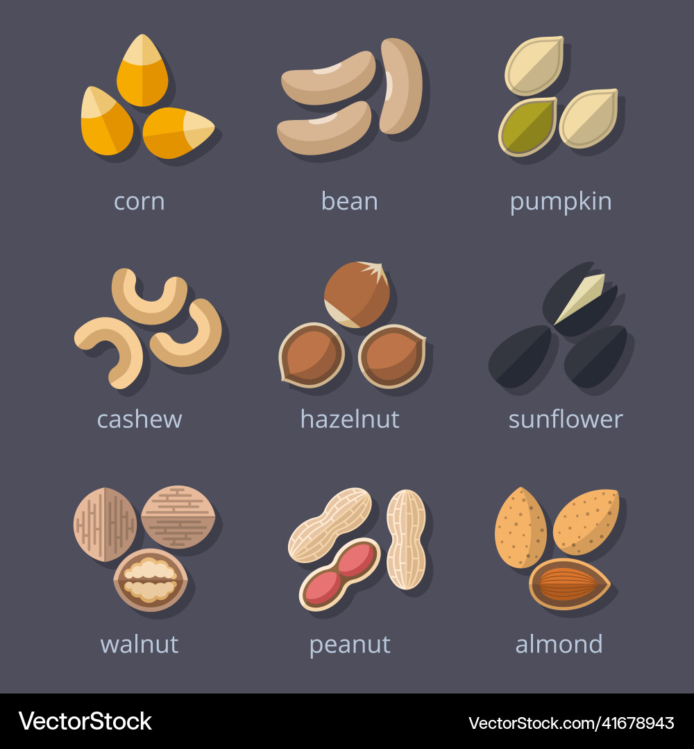 Nuts and seeds icon set Royalty Free Vector Image