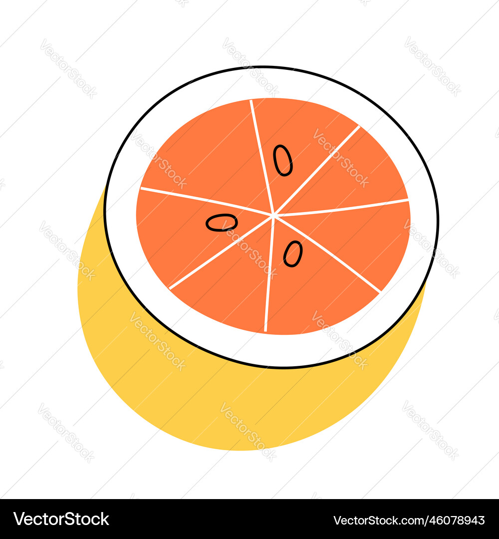 Orange fruit cut in halves cartoon Royalty Free Vector Image