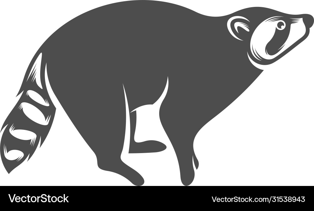 Racoon logo design icon symbol template Royalty Free Vector