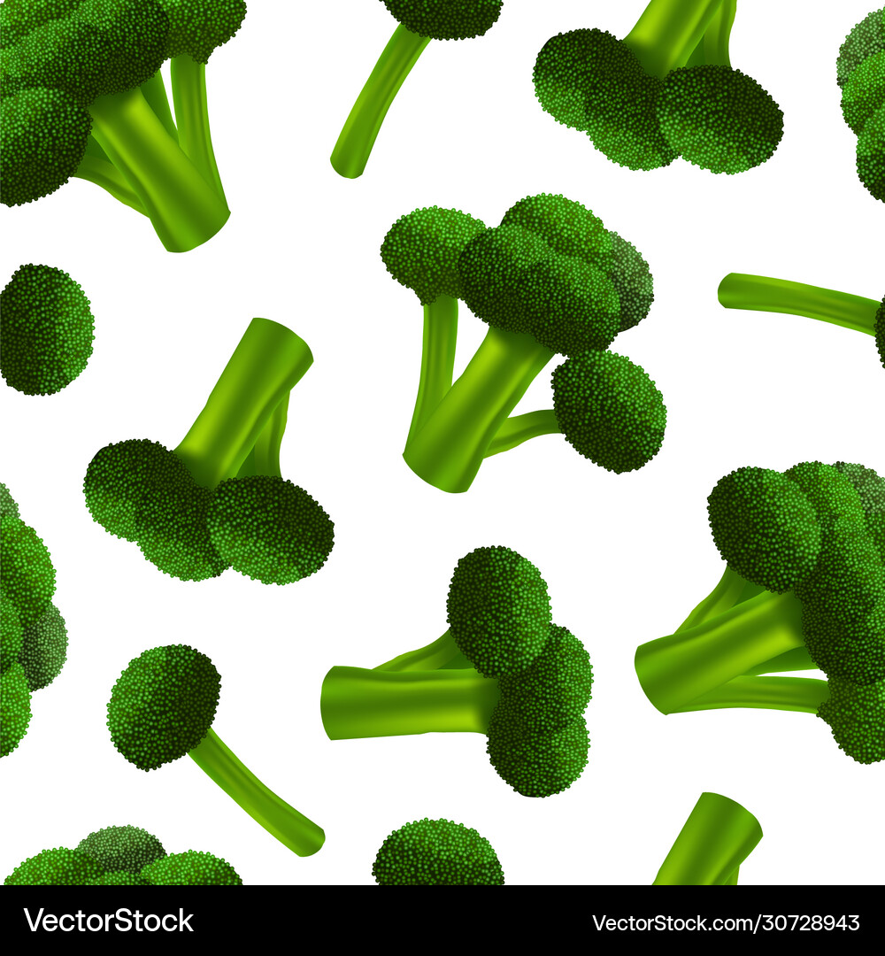 Realistic 3d detailed green fresh broccoli Vector Image