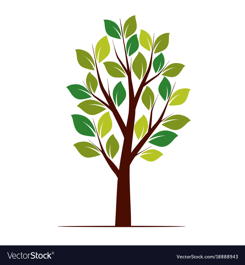 Spring tree Royalty Free Vector Image - VectorStock