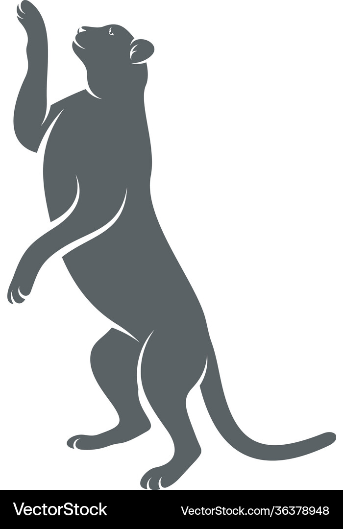 Cheetah design creative logo Royalty Free Vector Image