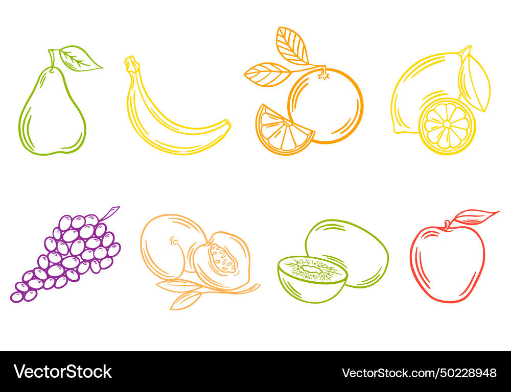 Colorful outline fruit line art set Royalty Free Vector
