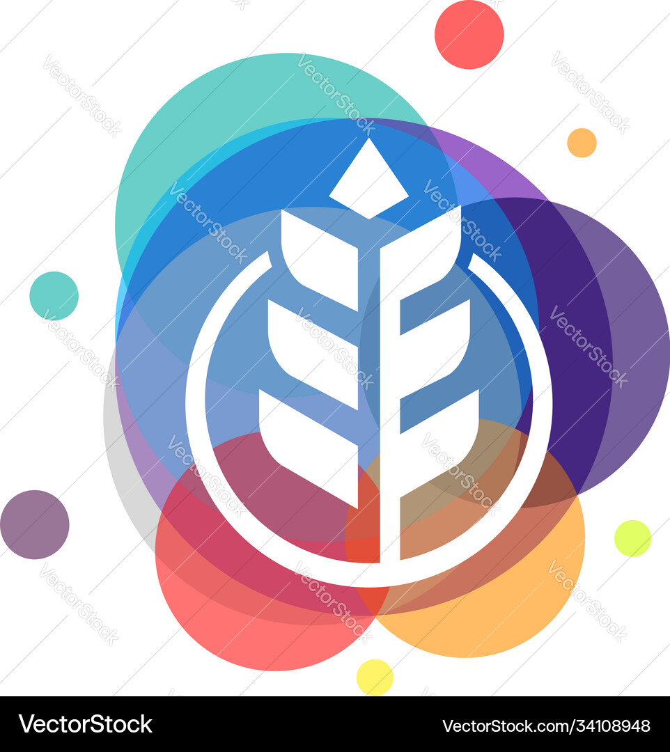 Colorful wheat logo grain logo designs template Vector Image