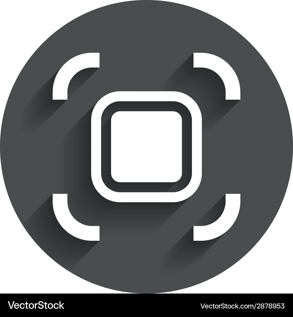 Autofocus zone sign icon photo camera settings Vector Image