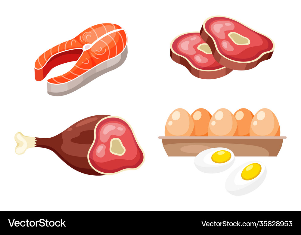 Flat icons meat fish and eggs animal sources Vector Image
