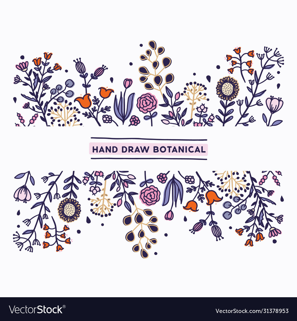 Hand draw botanic sketch Royalty Free Vector Image