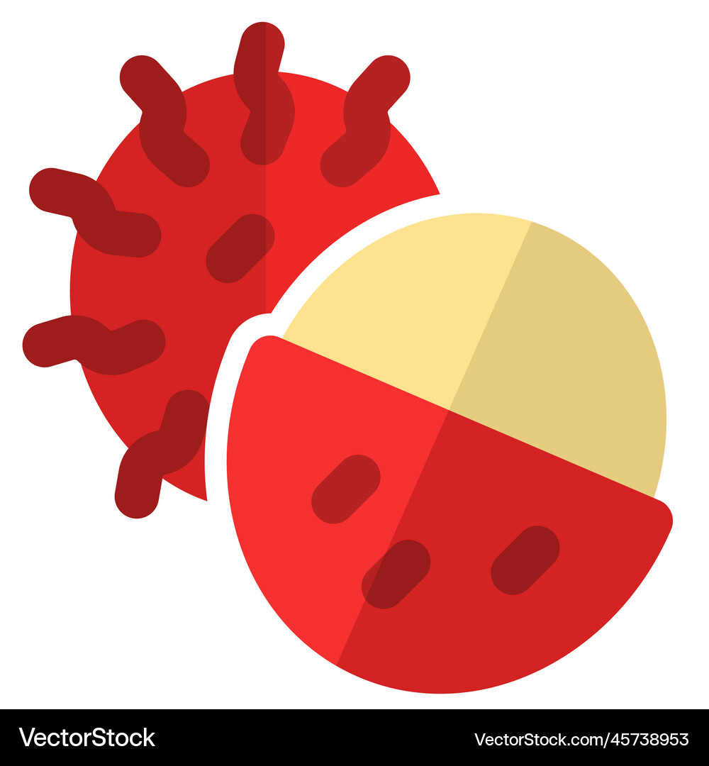 Rambutan juicy tropical fruit with bumpy skin Vector Image