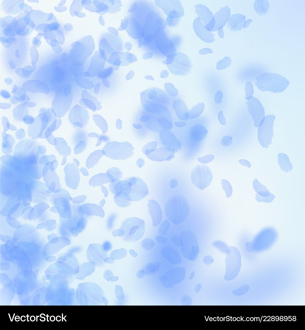 Dark blue flower petals falling down dazzling rom Vector Image
