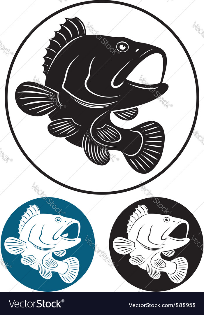 Grouper Royalty Free Vector Image - VectorStock