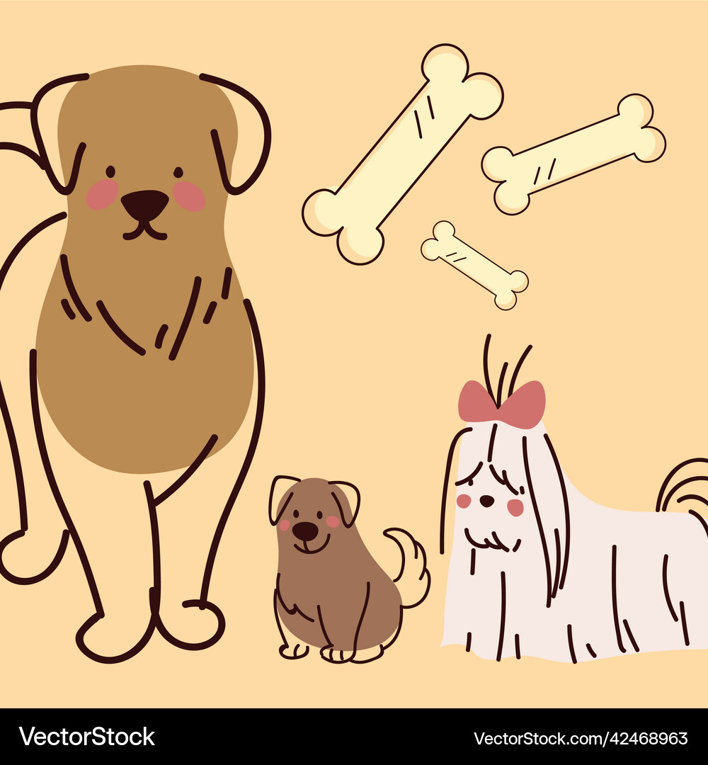 Dog pets and toys Royalty Free Vector Image - VectorStock