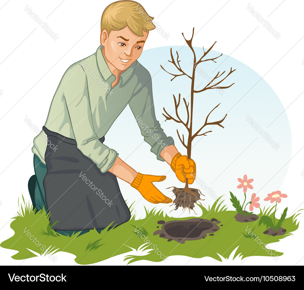 Young man planting sapling in garden Royalty Free Vector