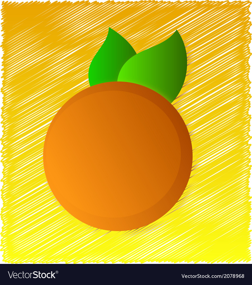Orange Royalty Free Vector Image - VectorStock