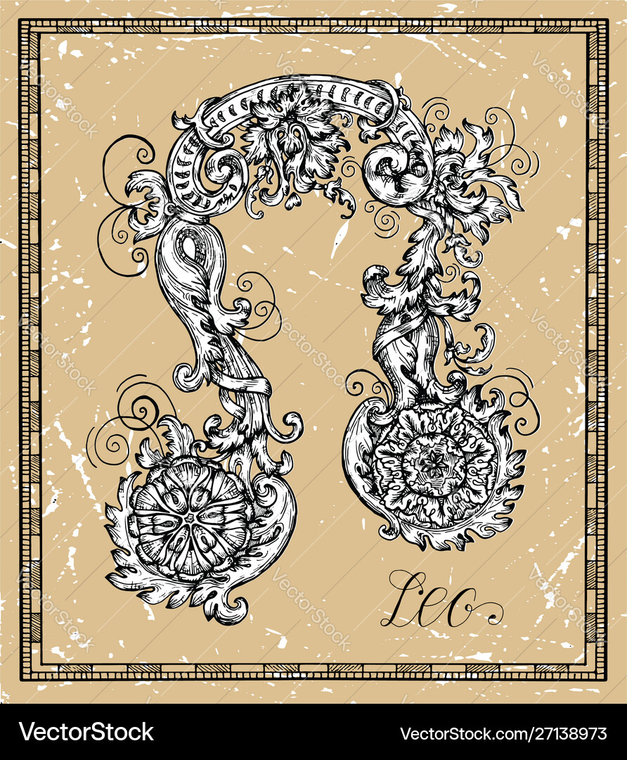 Leo or lion zodiac sign on frame on texture Vector Image