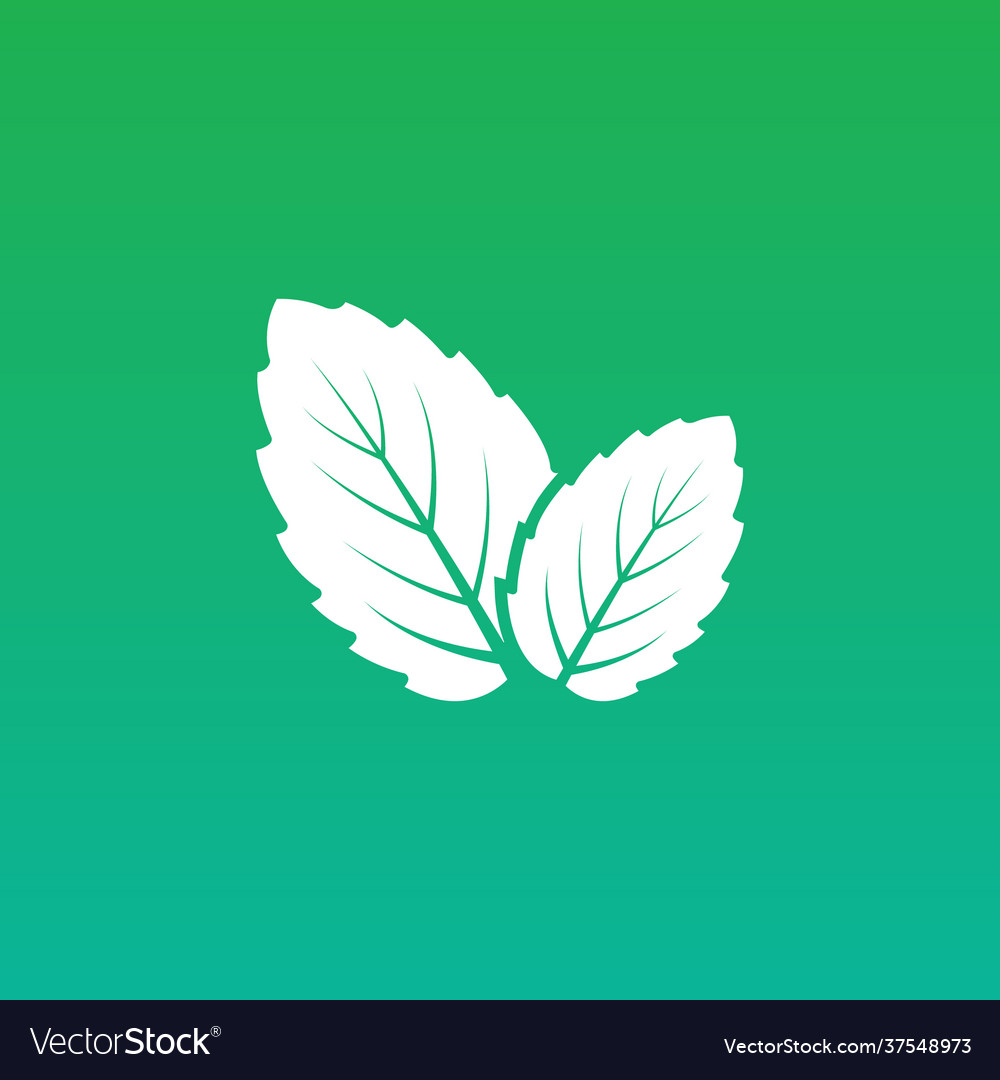 Mint leaf icon Royalty Free Vector Image - VectorStock