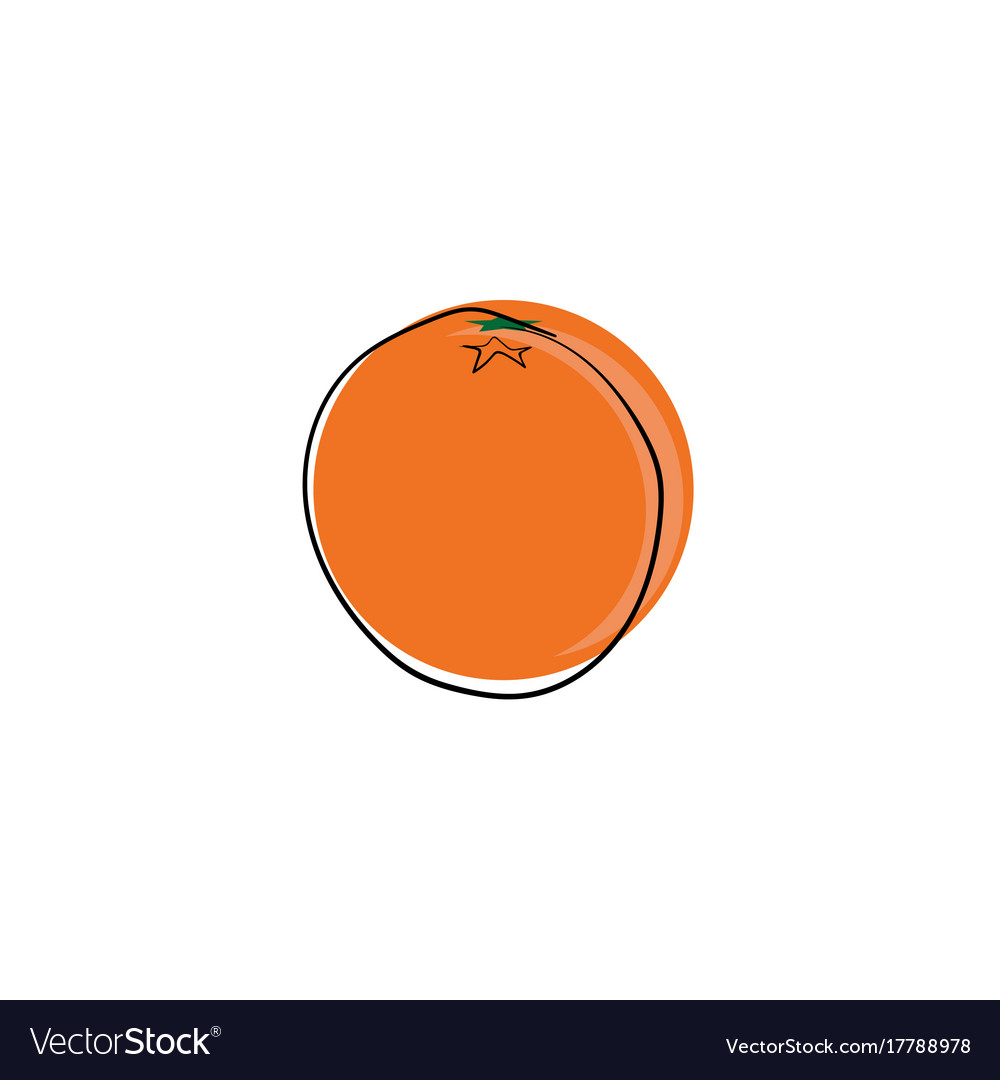 Orange fruit Royalty Free Vector Image - VectorStock
