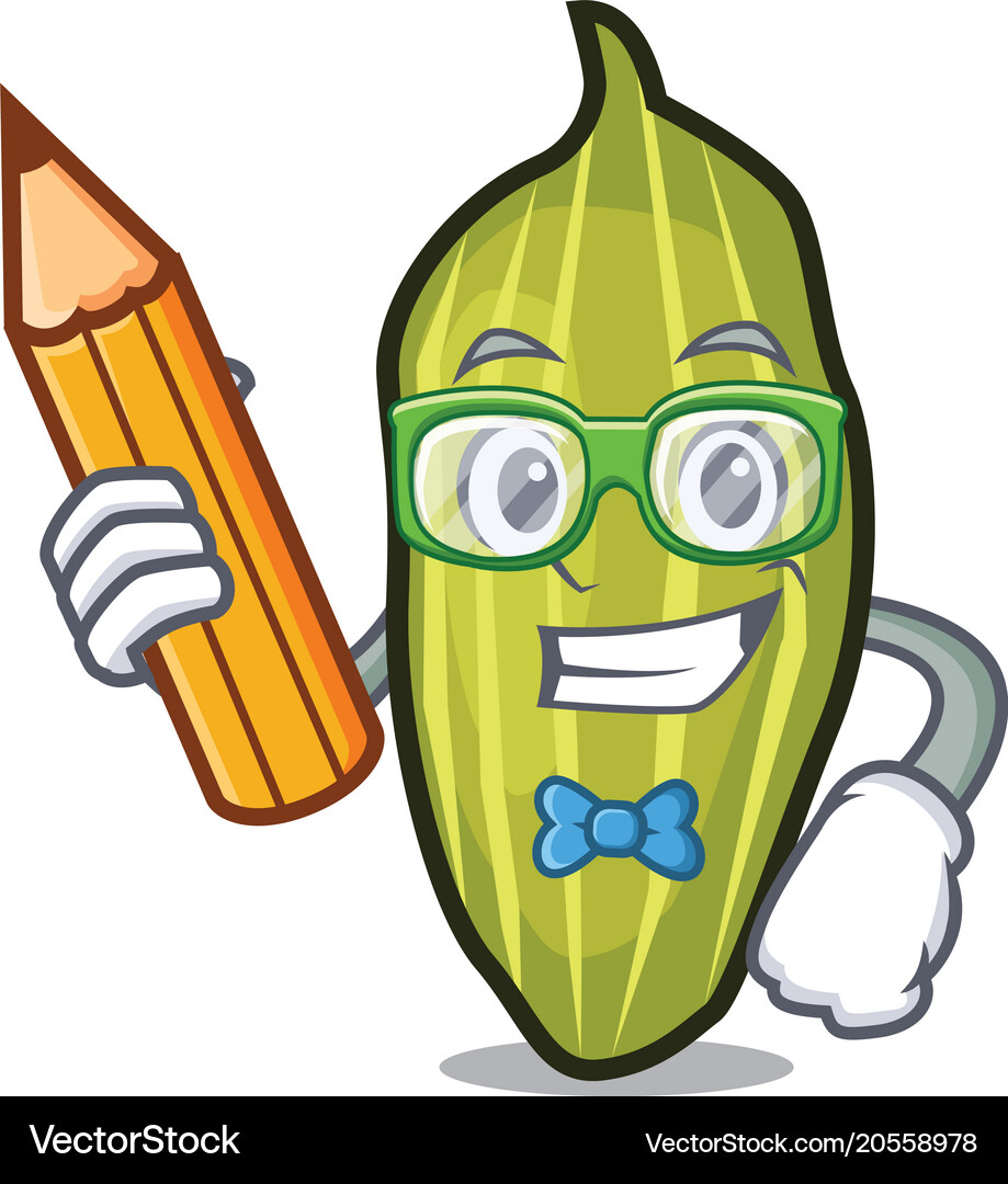 Student cardamom character cartoon style Vector Image