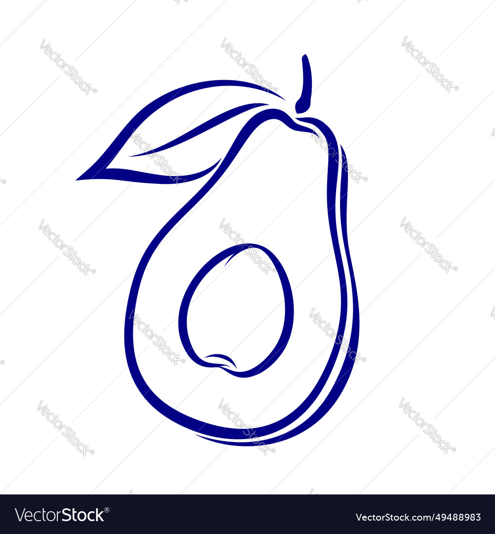 Avocado Royalty Free Vector Image - VectorStock