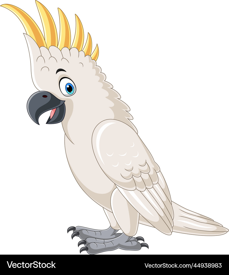 Cartoon white cockatoo on background Royalty Free Vector